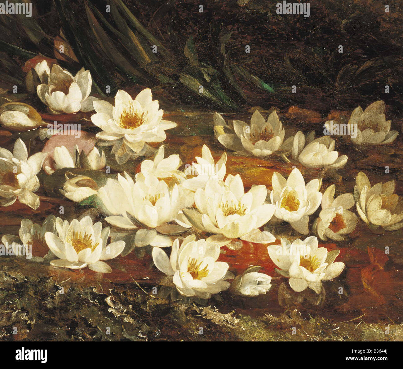 Muckley hi-res stock photography and images - Alamy