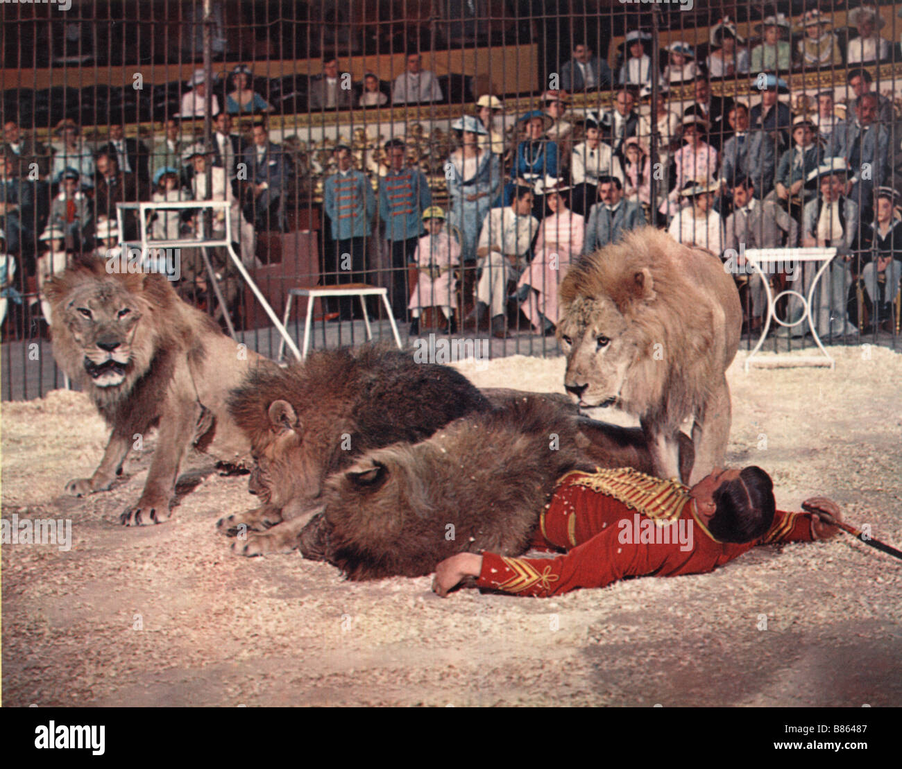 Circus lion hi-res stock photography and images - Alamy