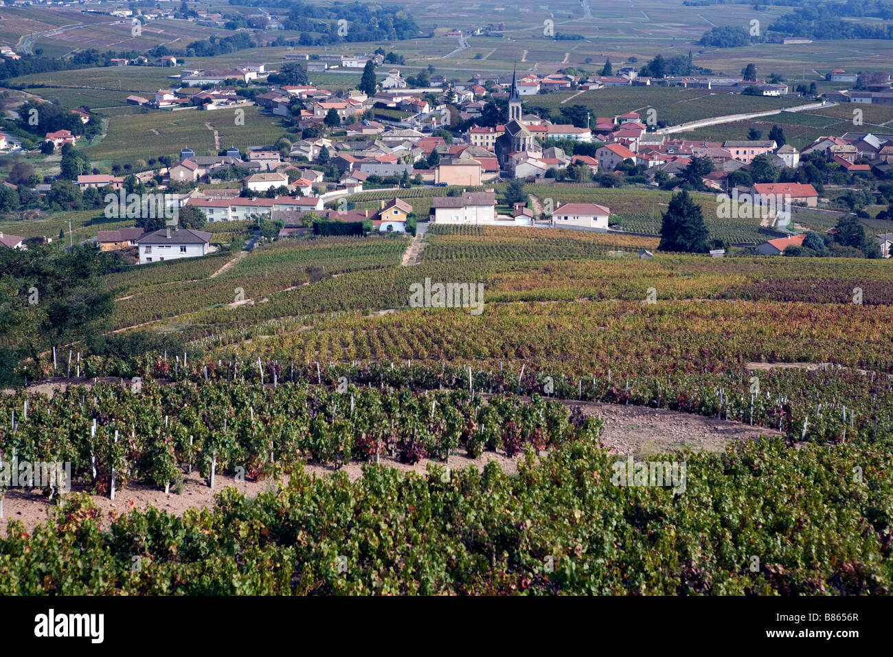 Fleurie france wine hi-res stock photography and images - Alamy