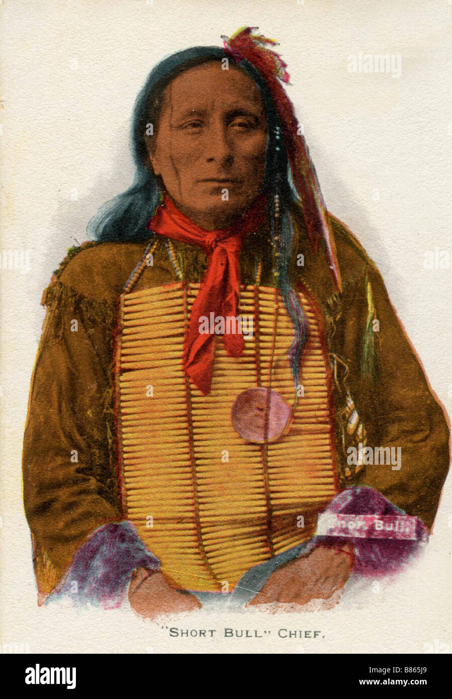 Short bull hi-res stock photography and images - Alamy