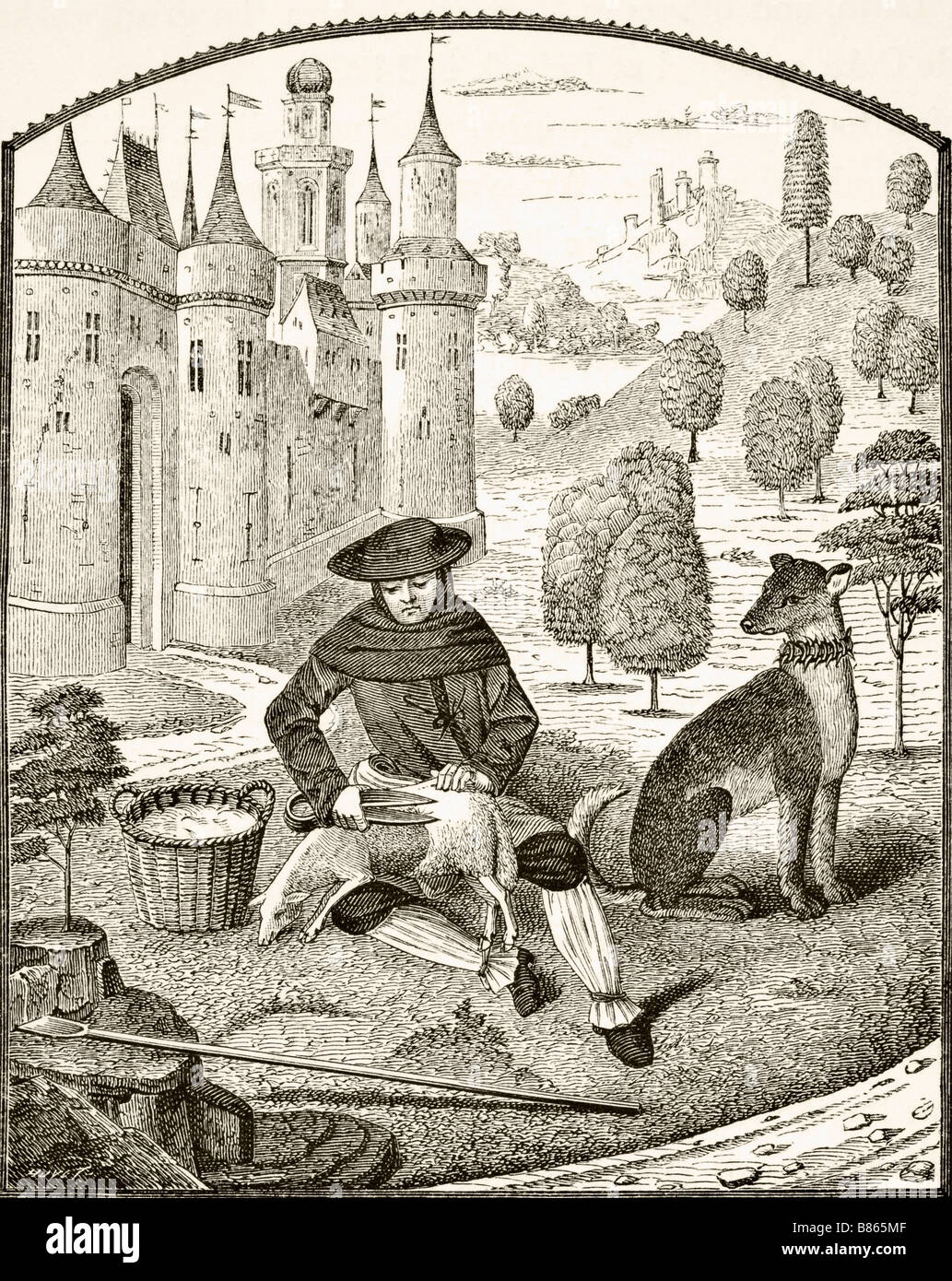 Sheep shearing in the Middle Ages Stock Photo - Alamy