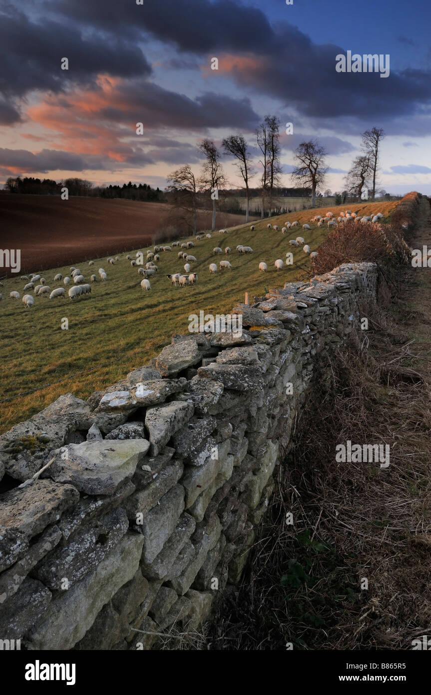 English hillside hi-res stock photography and images - Alamy