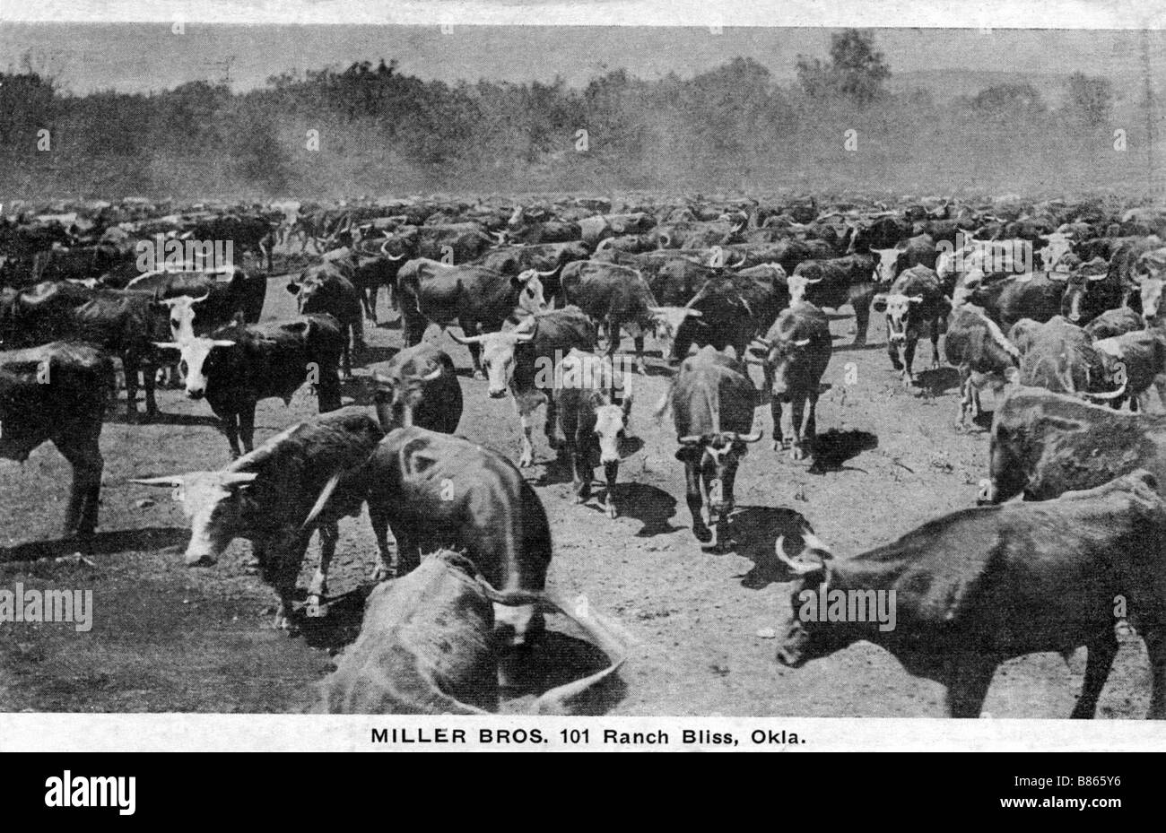 101 ranch hi-res stock photography and images - Alamy