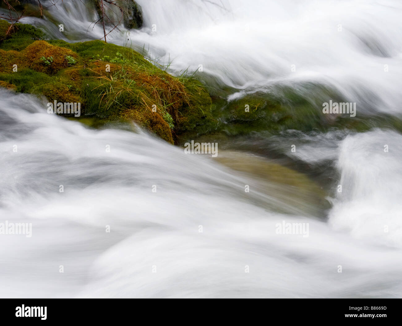 A fast moving river with water tumbling over rocks going around a clump ...