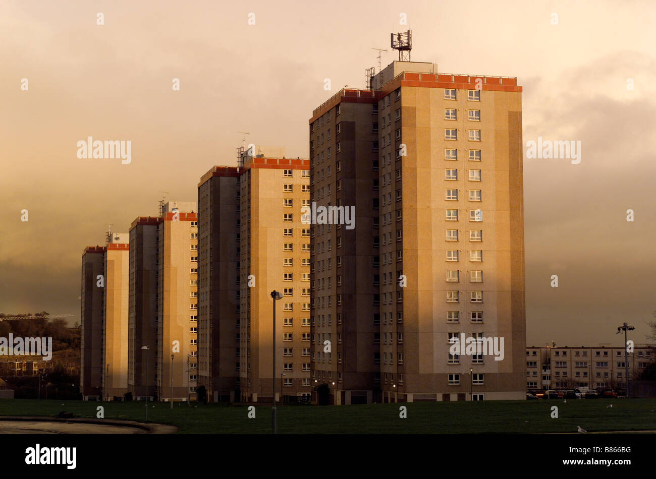 Tower blocks in Edinburgh Stock Photo - Alamy