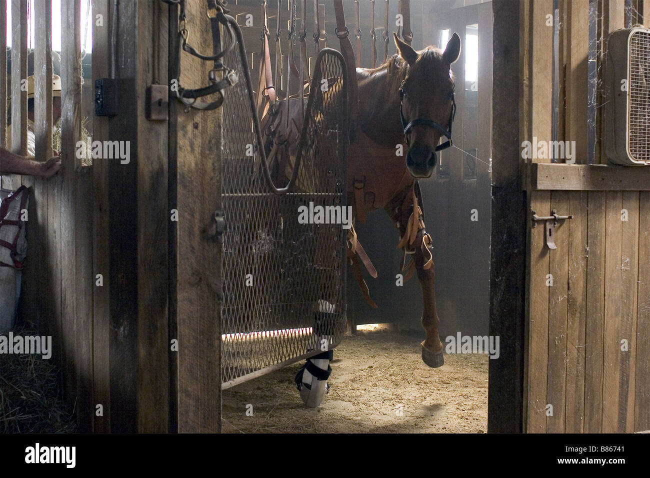 Dreamer : Inspired by a True Story Dreamer : Inspired by a True Story ...