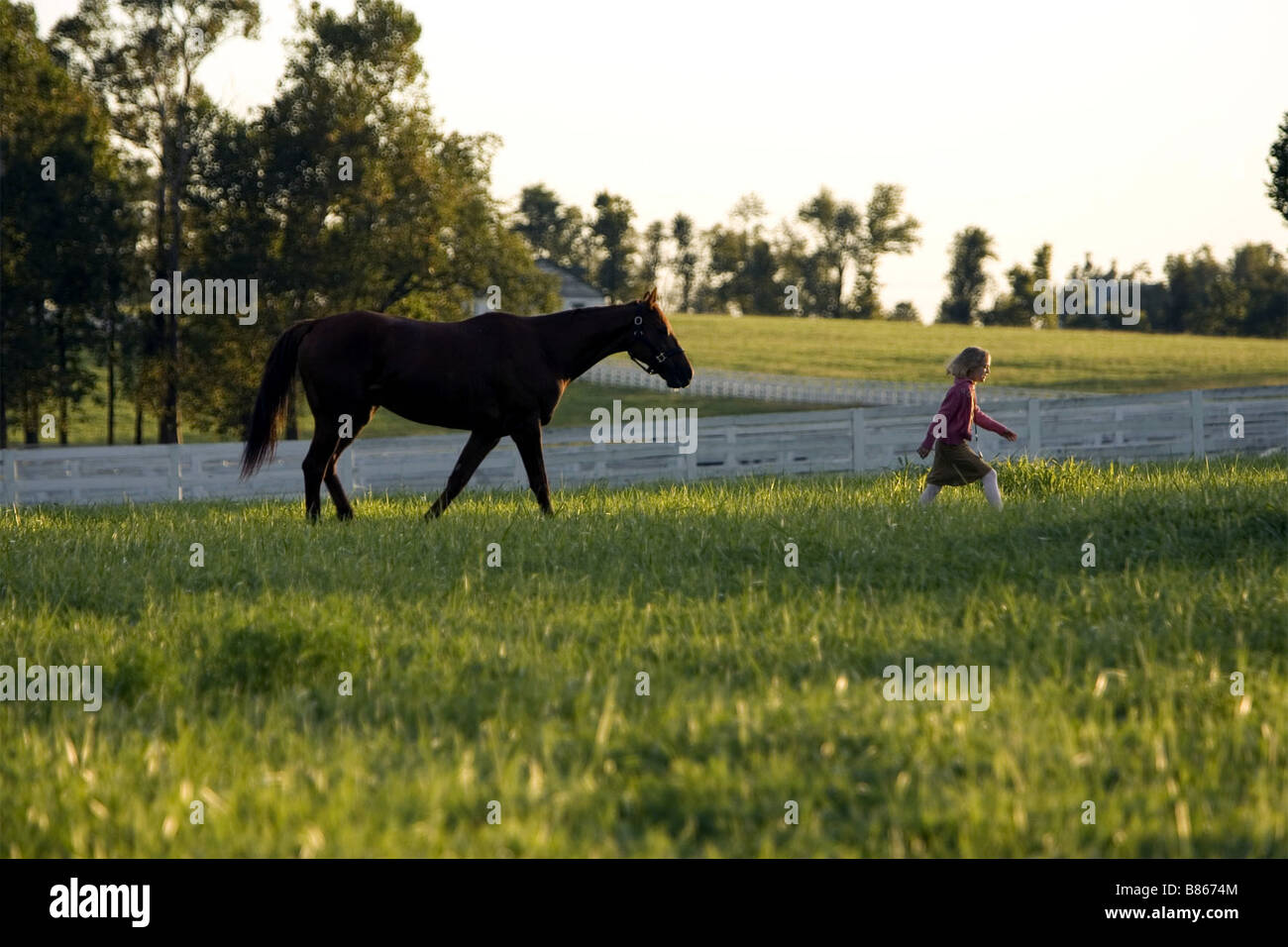 Dreamer : Inspired by a True Story Dreamer : Inspired by a True Story ...