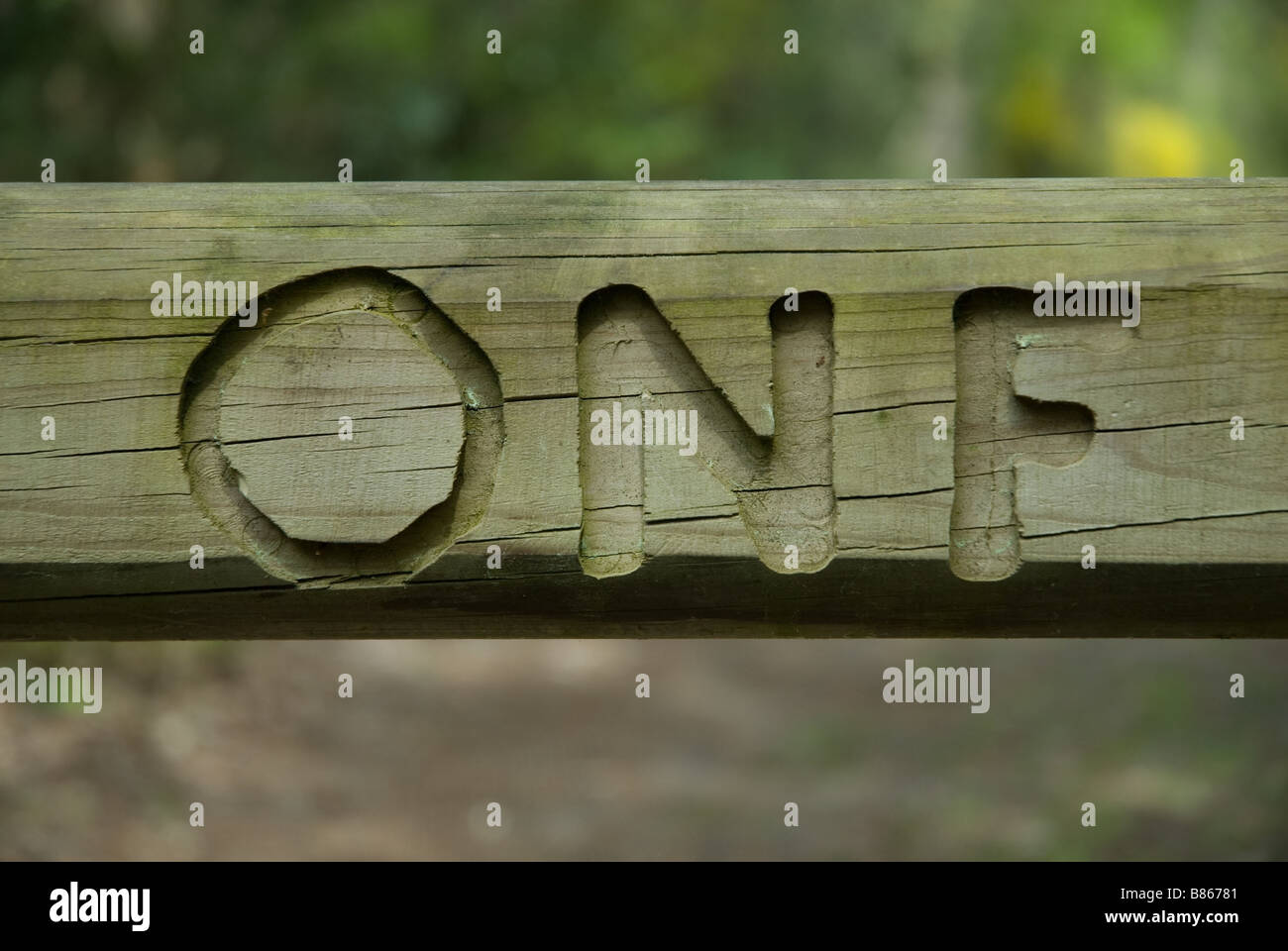 The National Forests Office logo on a barrier Stock Photo - Alamy