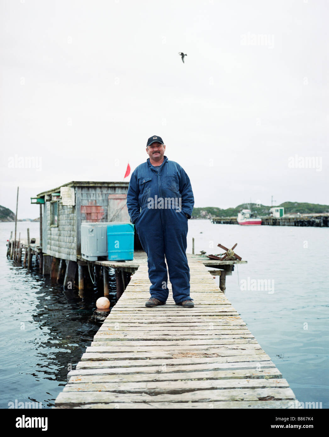 Newfoundland cod fishing hi-res stock photography and images - Alamy