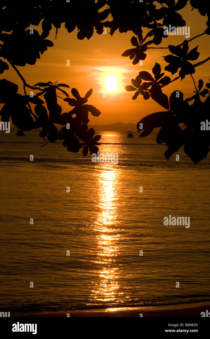 Sunset over sea tree hi-res stock photography and images - Alamy
