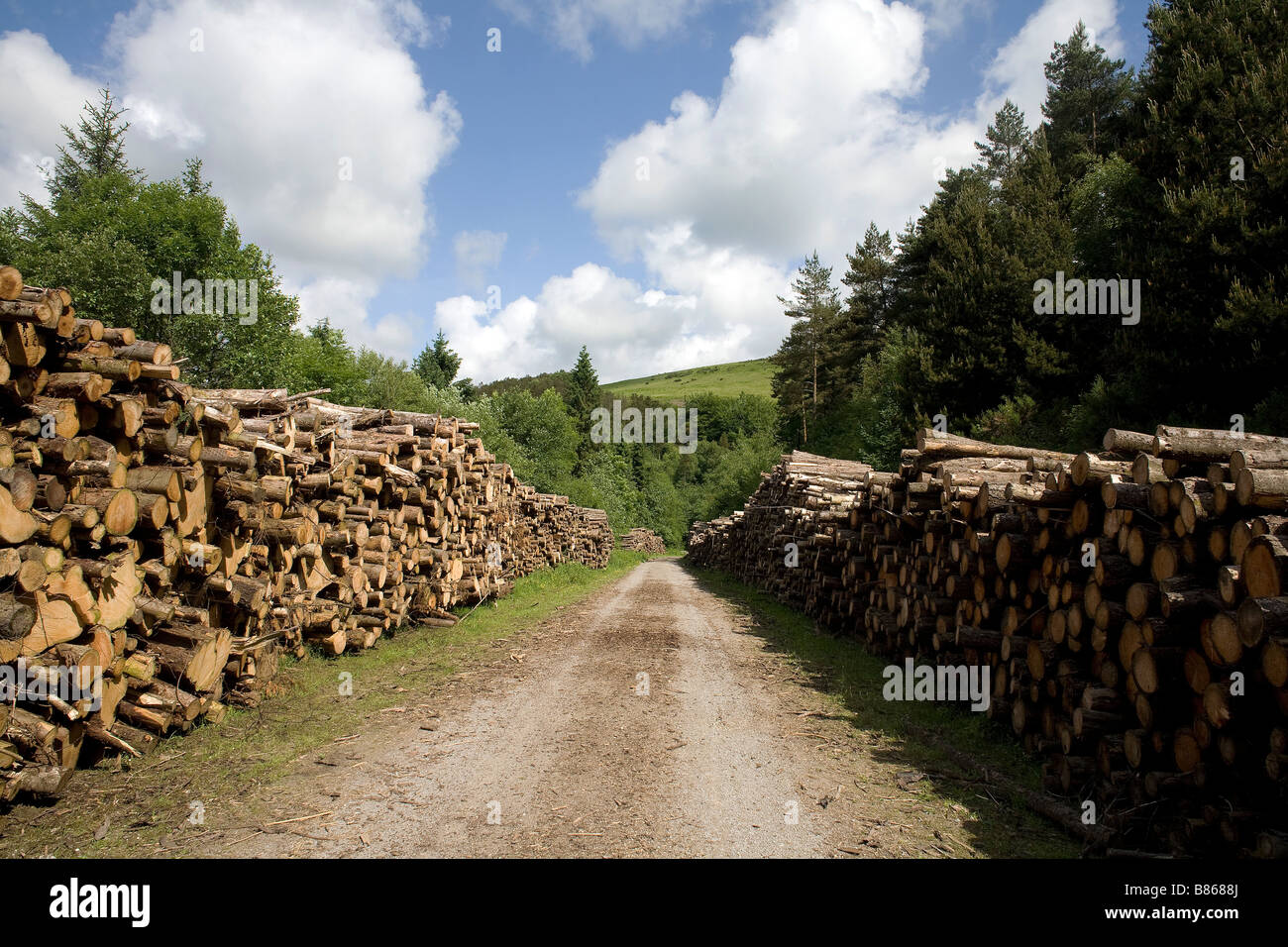 Cylindrical stack hi-res stock photography and images - Alamy