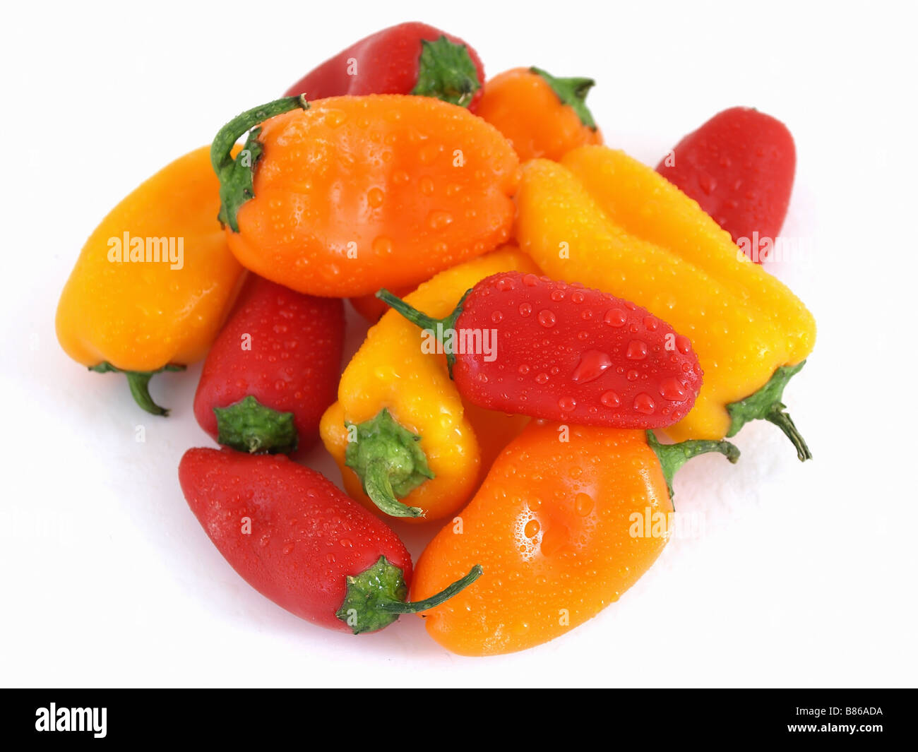 Colorful red yellow and orange bell peppers with sprinkles of water ...