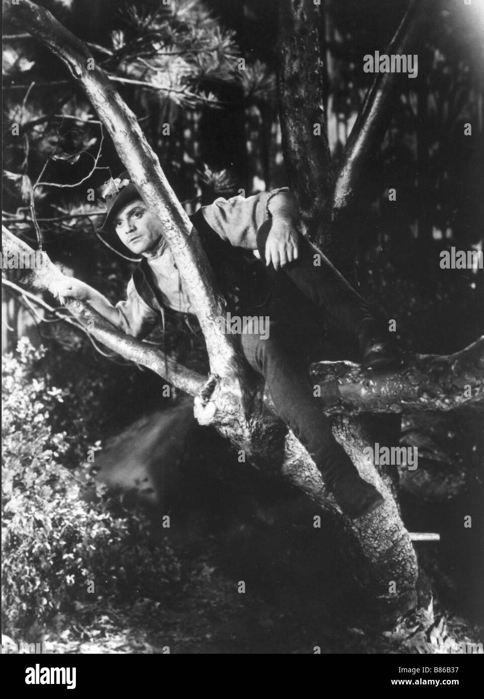 A Midsummer Night's Dream Year : 1935 - USA James Cagney Director ...