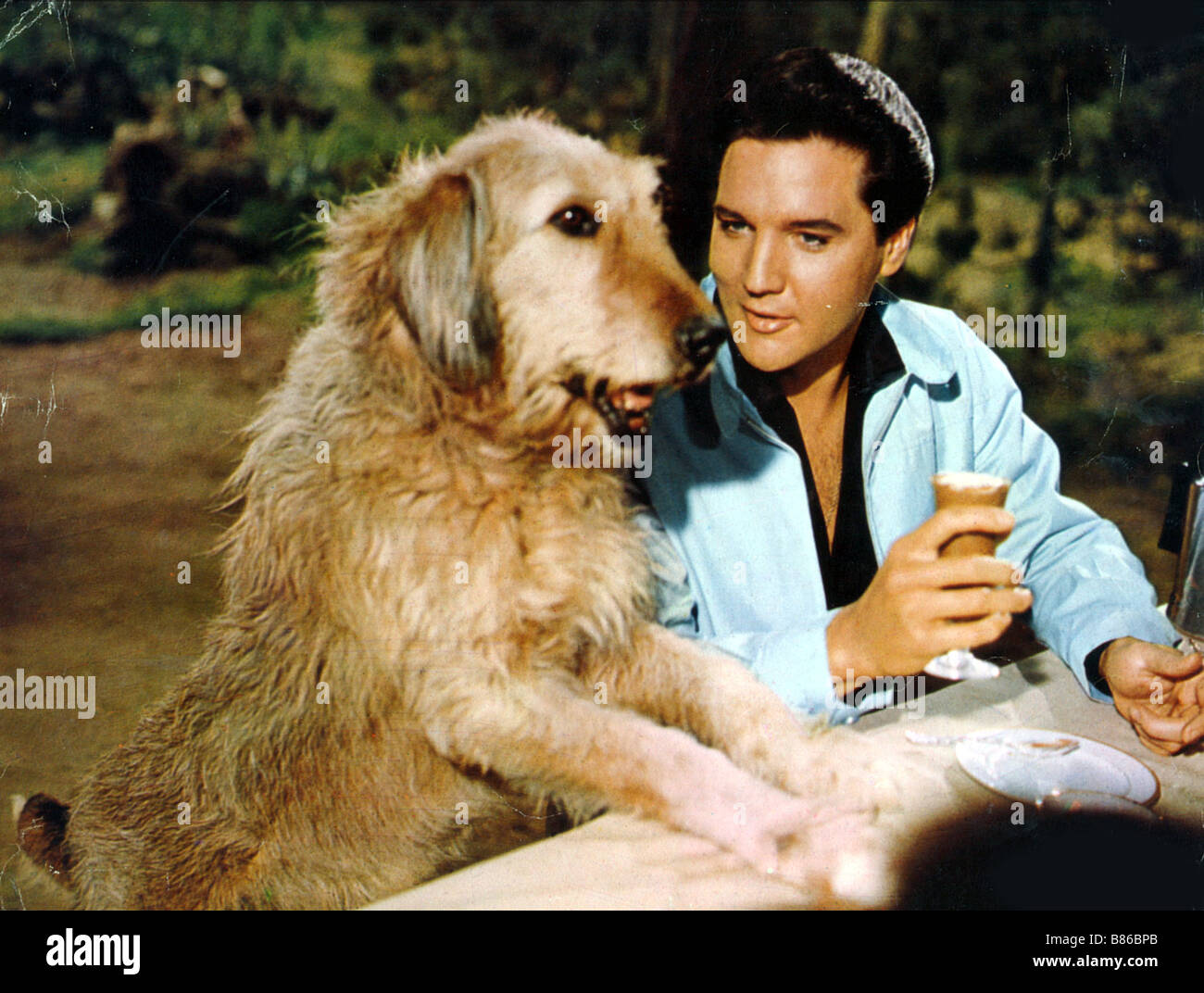 Elvis Presley Esegue Hound Dog