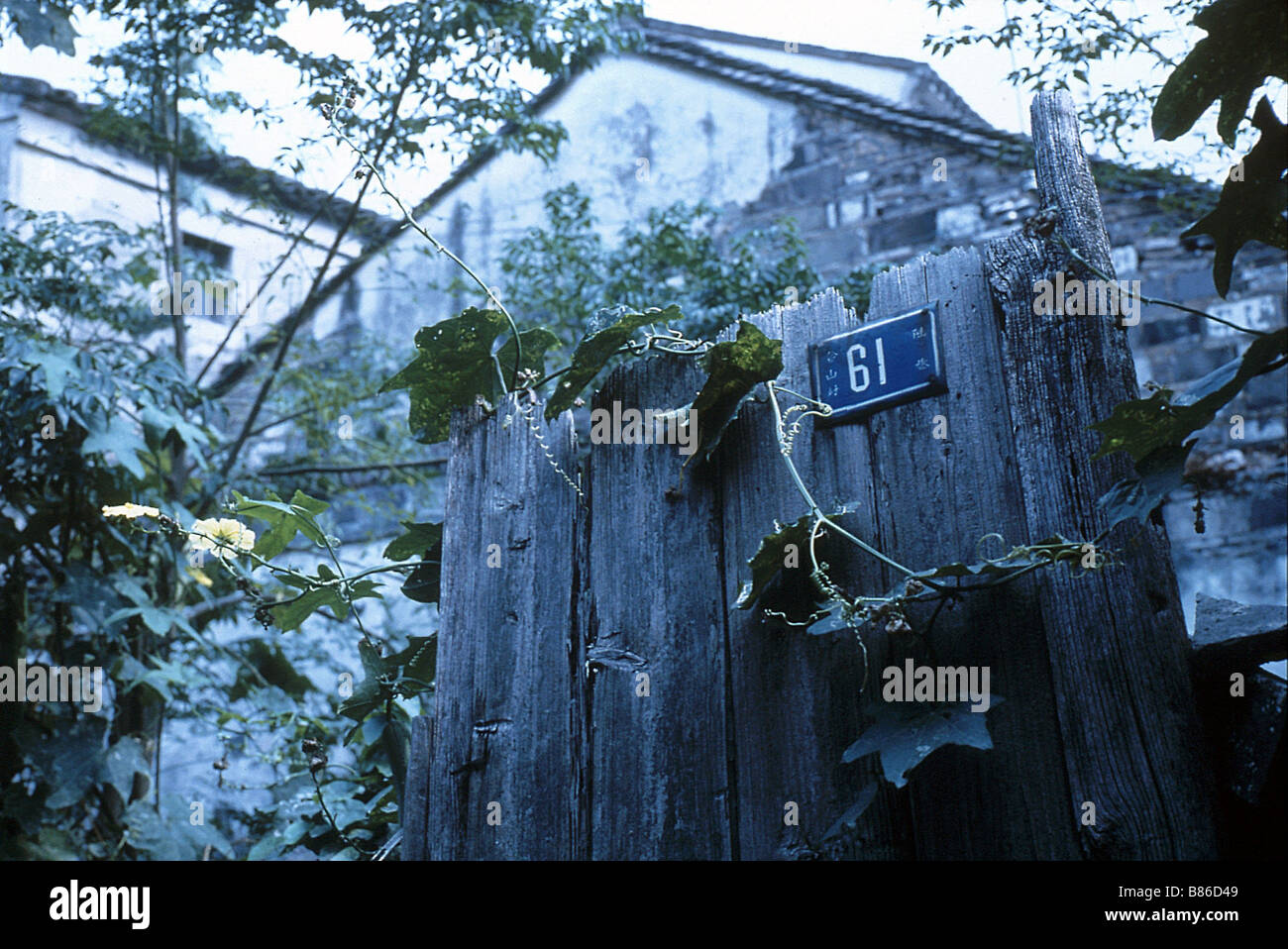 Zhuangzhuang tian hi-res stock photography and images - Alamy