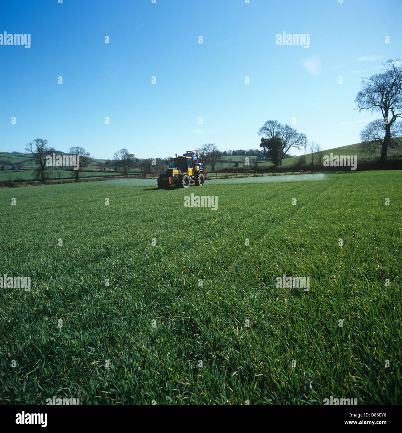 Tractor with mounted sprayer spraying a young barley crop on a fine ...