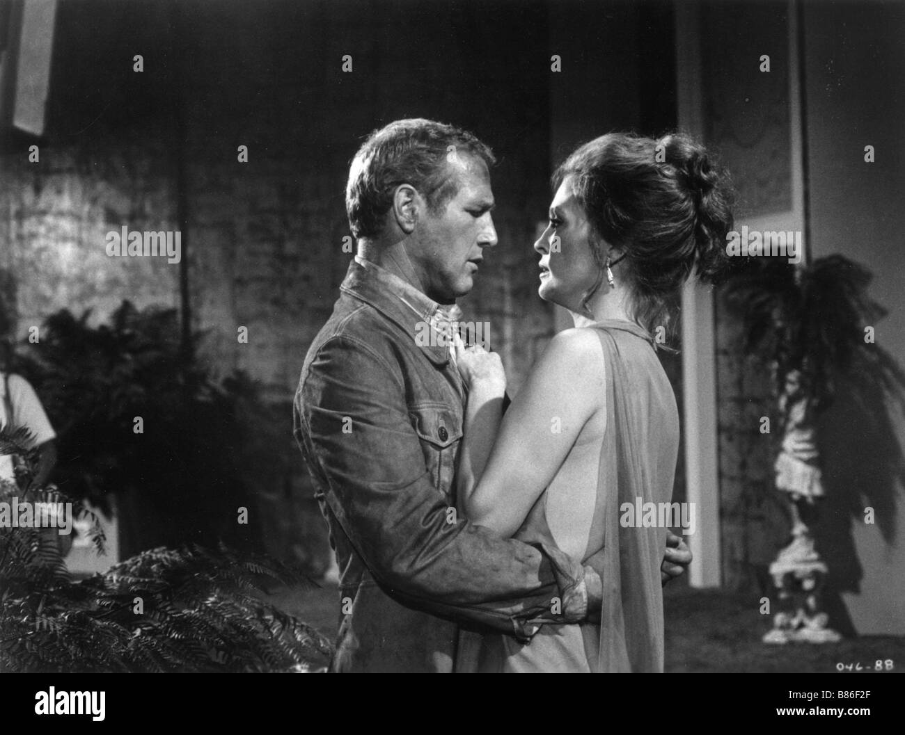 Paul newman faye dunaway towering Black and White Stock Photos & Images ...
