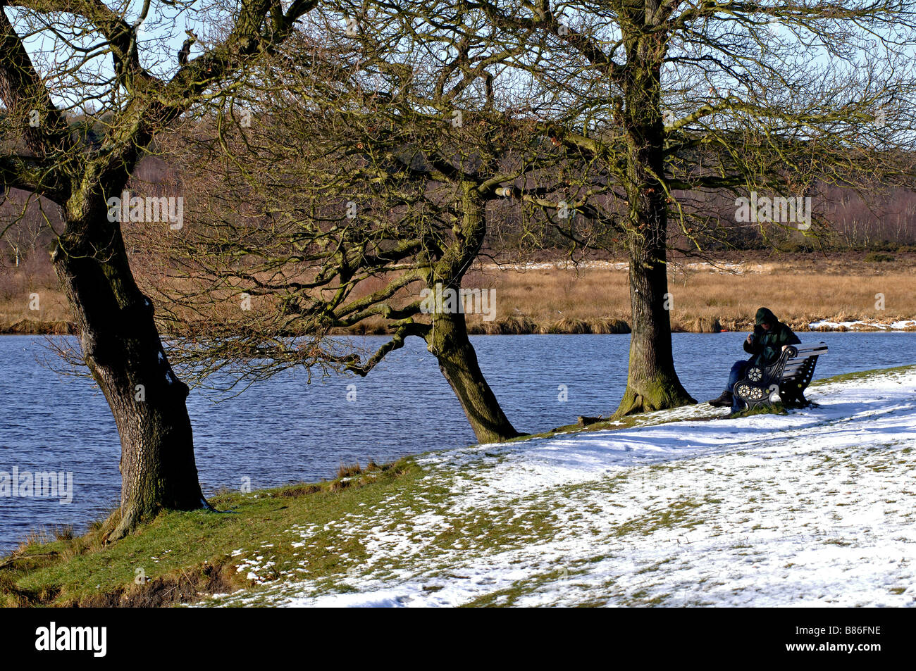 Longmoor Pool in winter, Sutton Park, West Midlands, England, UK Stock ...