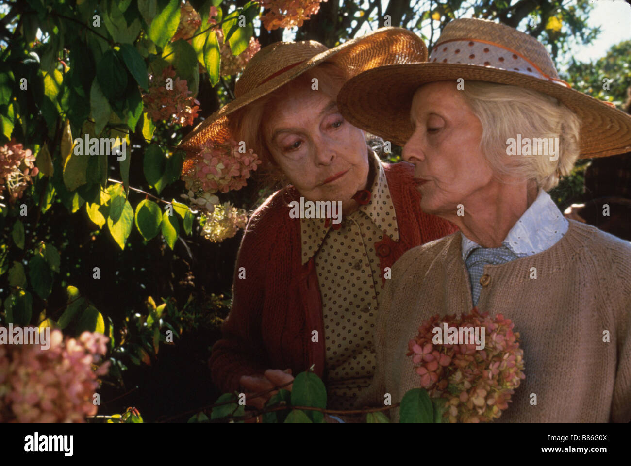 The Whales of August Year : 1987 - USA Bette Davis, Lillian Gish ...