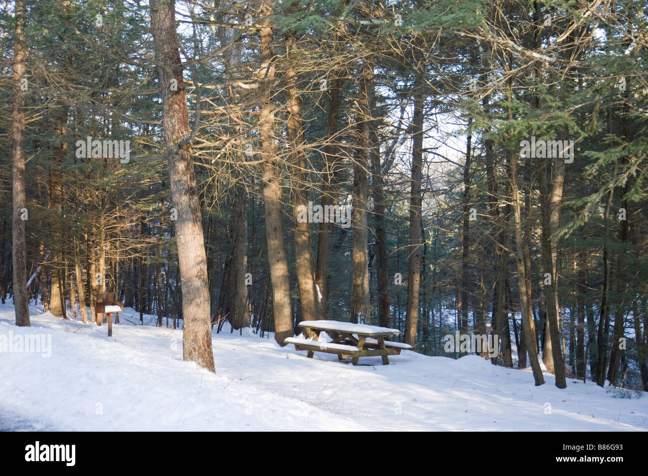 Picnic area in Southbury state park with snow covered table and ...
