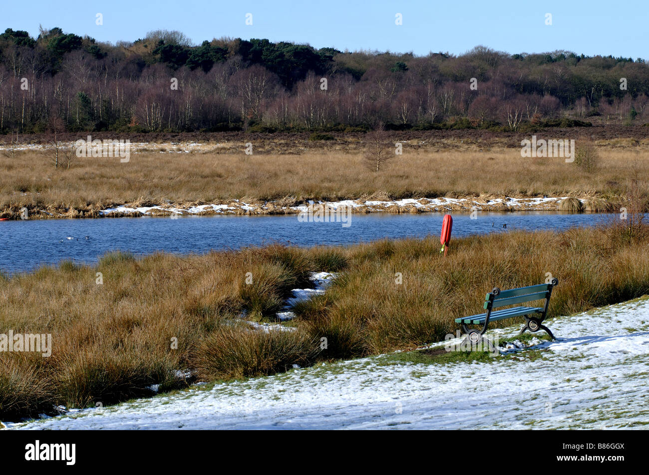 Longmoor Pool in winter, Sutton Park, West Midlands, England, UK Stock ...
