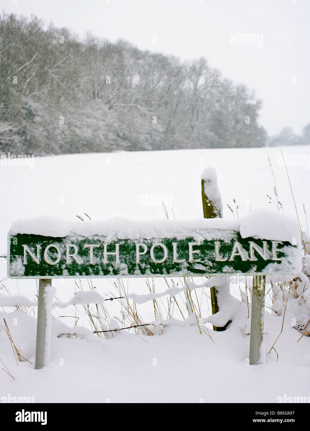 A snow covered road sign 'North Pole Lane' in Keston, Greater London ...