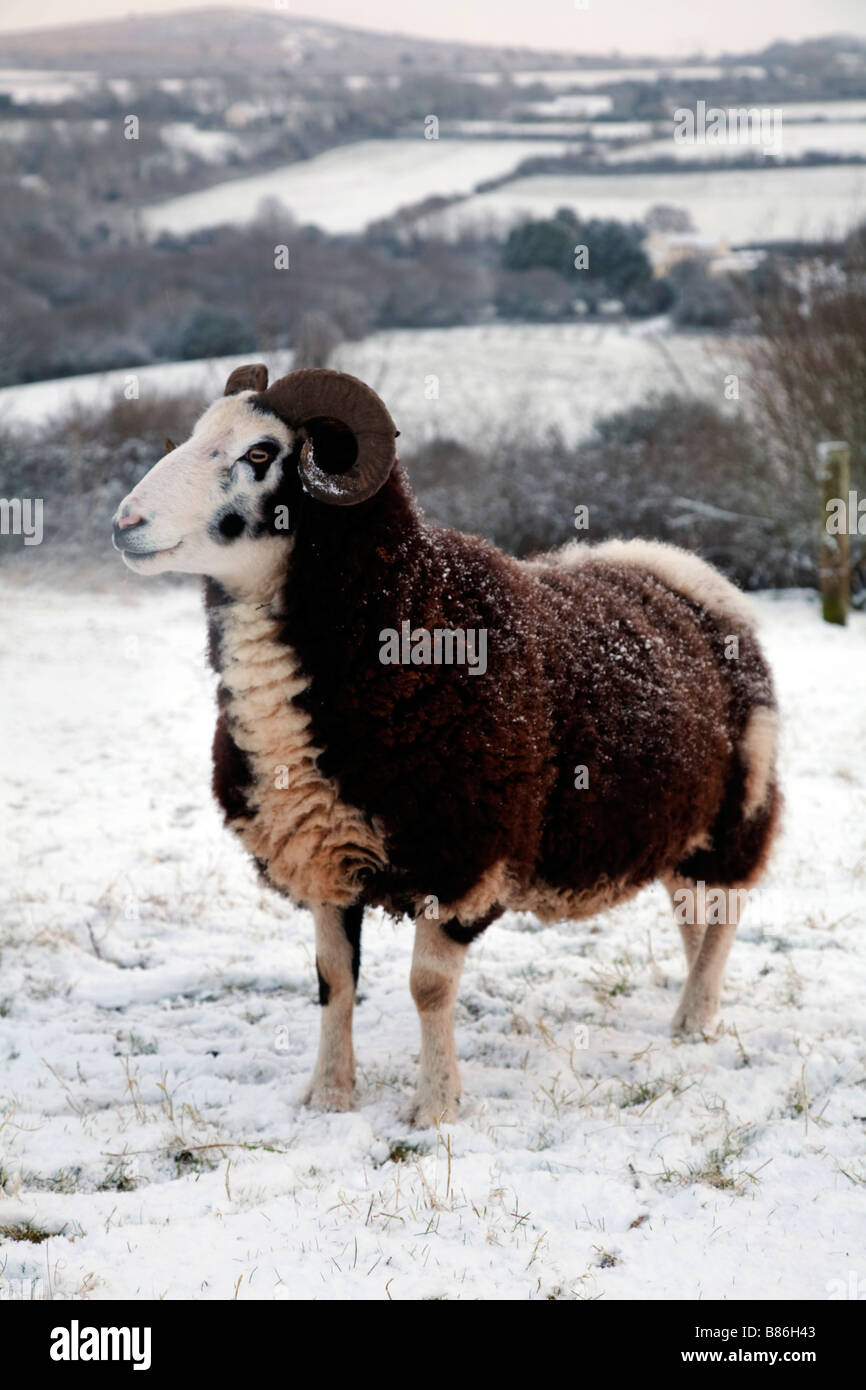 Jacob snow hi-res stock photography and images - Alamy