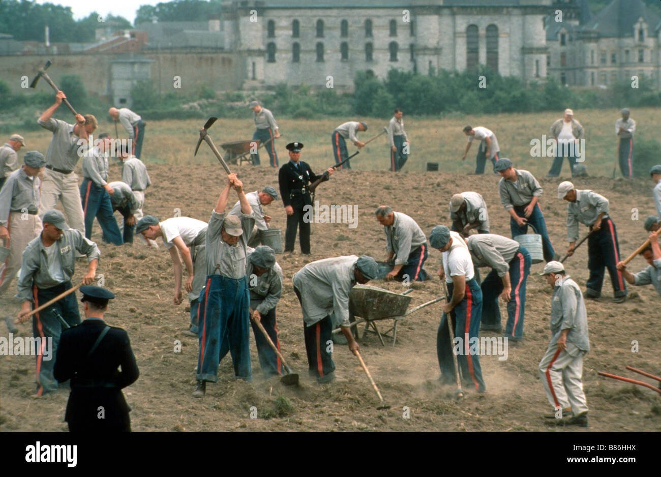 Les évadés Shawshank Redemption, The Year : 1994 - USA Director: Frank ...
