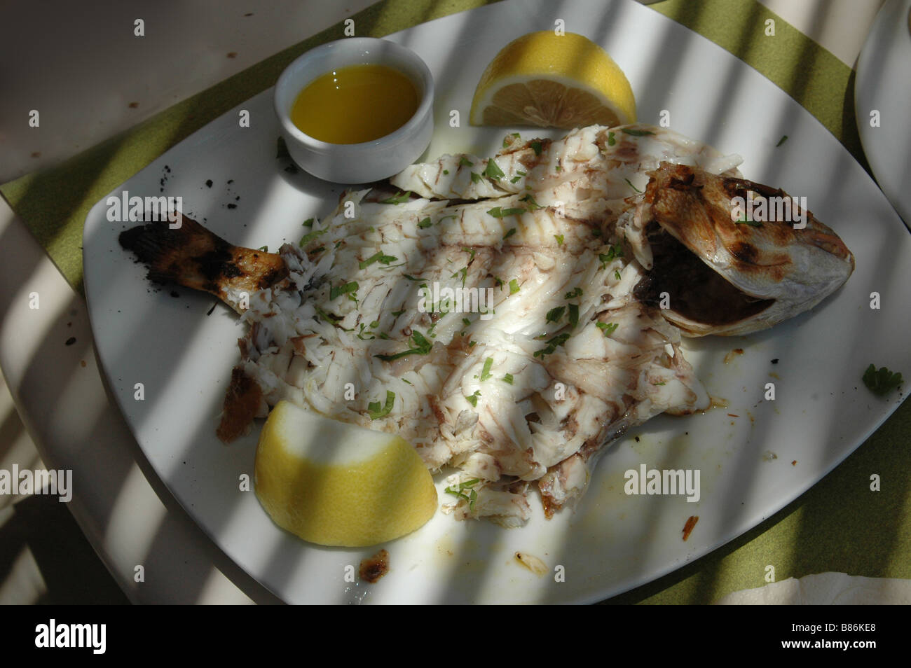 Fish design plate hi-res stock photography and images - Alamy
