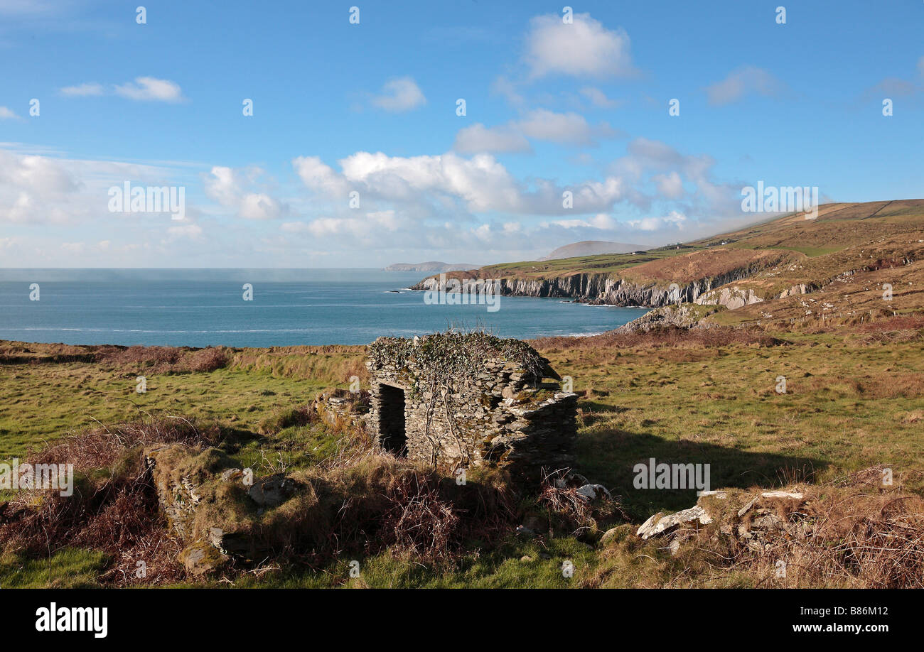 Beara farms hi-res stock photography and images - Alamy