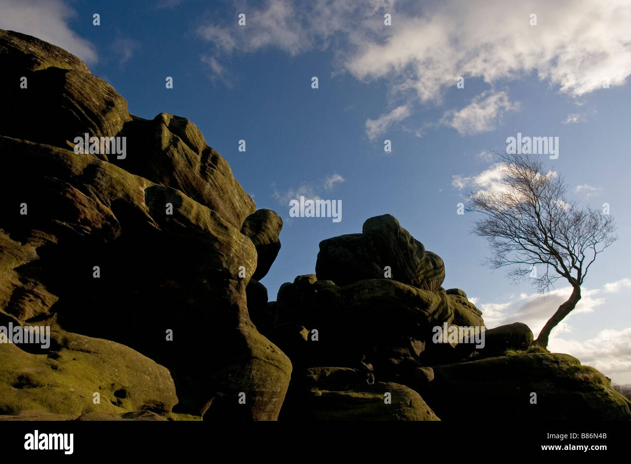 Brimham Rocks North Yorkshire England UK Stock Photo - Alamy