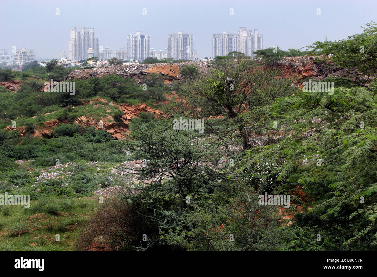 Posh residential high rise buildings rise over the greenery in Gurgaon ...
