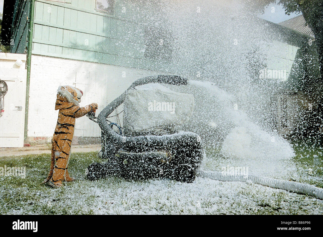 Sergeant Pepper Sergeant Pepper Year : 2004 - Germany Neal Thomas ...