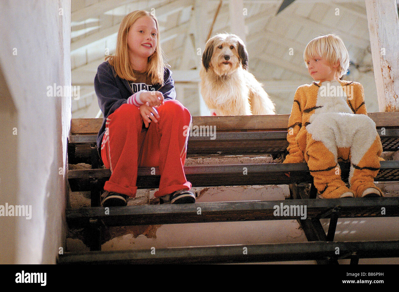 Sergeant Pepper Sergeant Pepper Year : 2004 - Germany Carolyn Prein, Neal Thomas Director ...