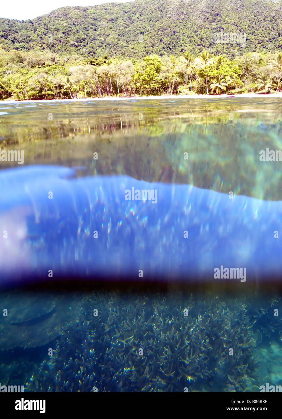 Coral reef fringing rainforest beaches of Daintree National Park north ...