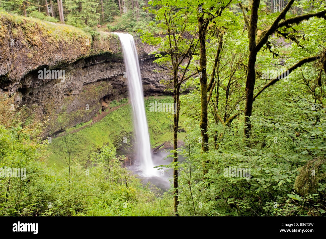 South Falls, Silver Falls State Park, Oregon, USA Stock Photo - Alamy