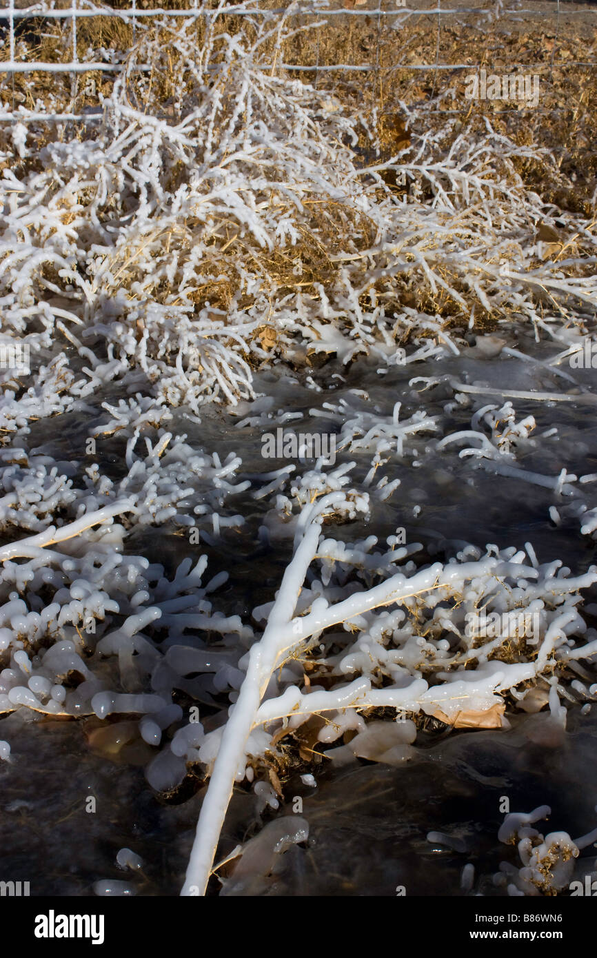 Drip watering hi-res stock photography and images - Alamy