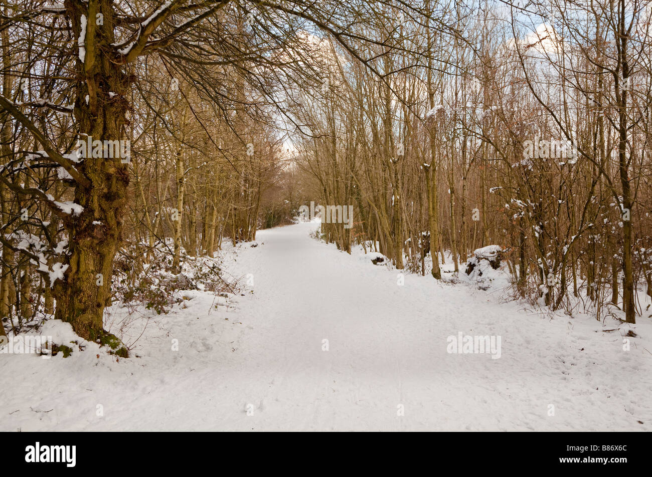 A snow covered path in the woods on the NorthDowns near Reigate Stock ...