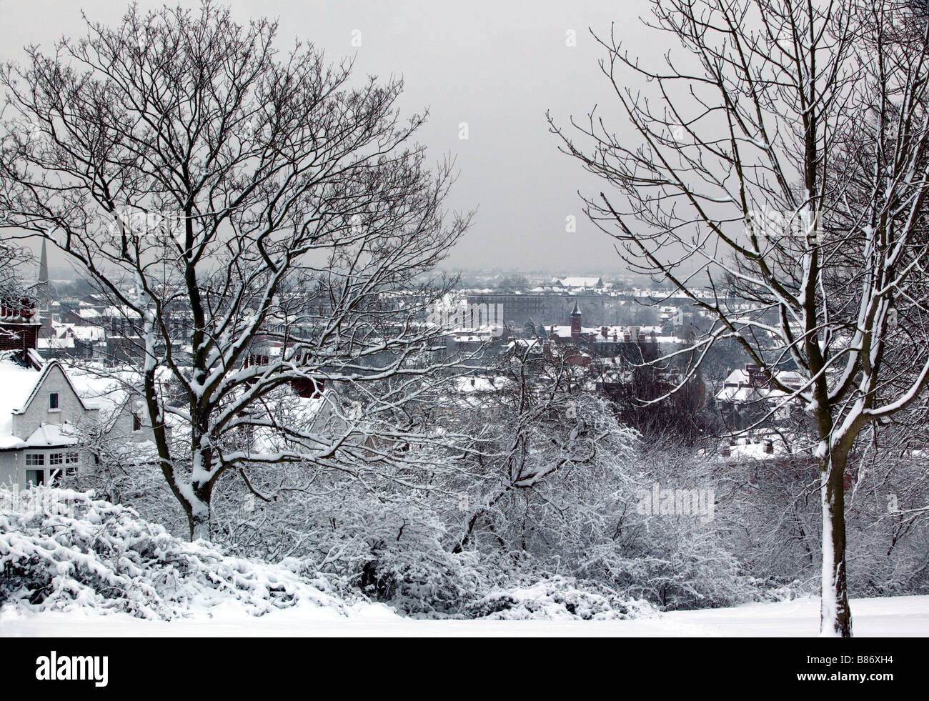 Hlly hi-res stock photography and images - Alamy