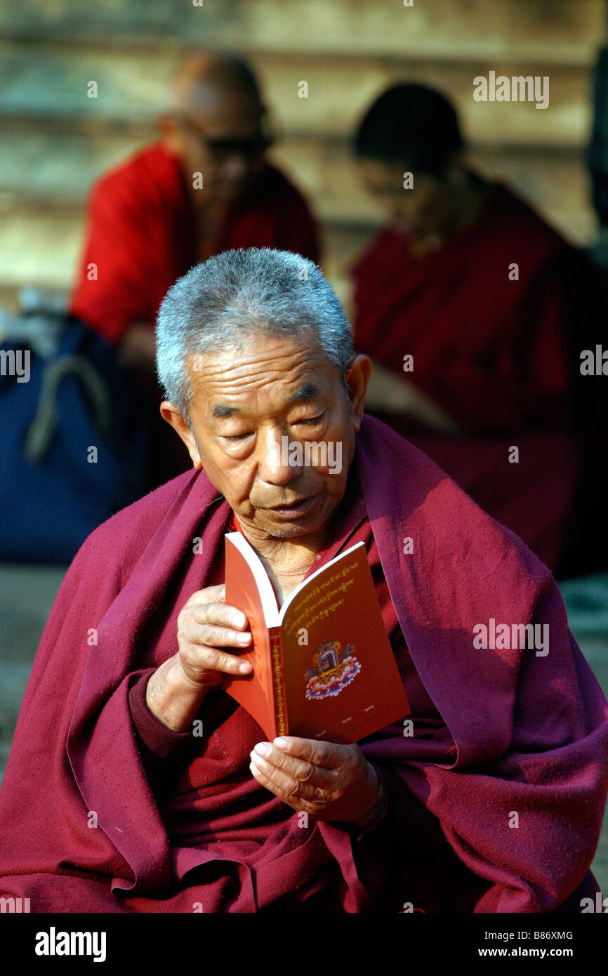 A buddhist monk reads a book in Bodhgaya in India Stock Photo - Alamy