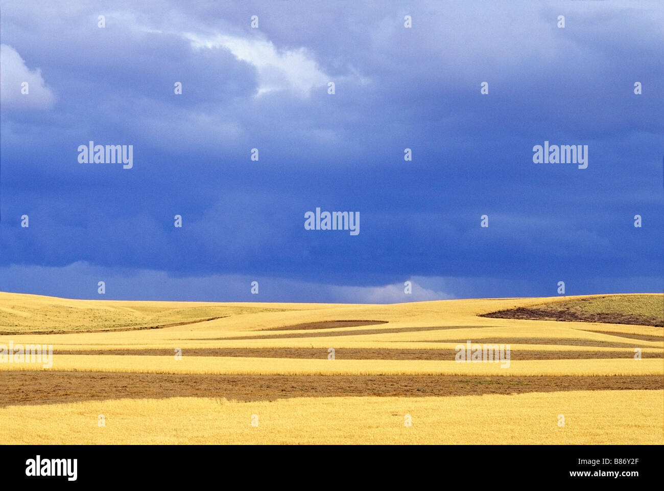 Hermiston oregon hi-res stock photography and images - Alamy