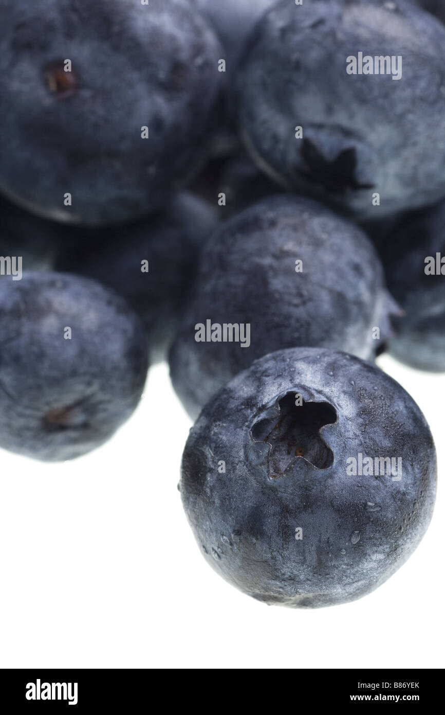 White background blueberries hi-res stock photography and images - Alamy