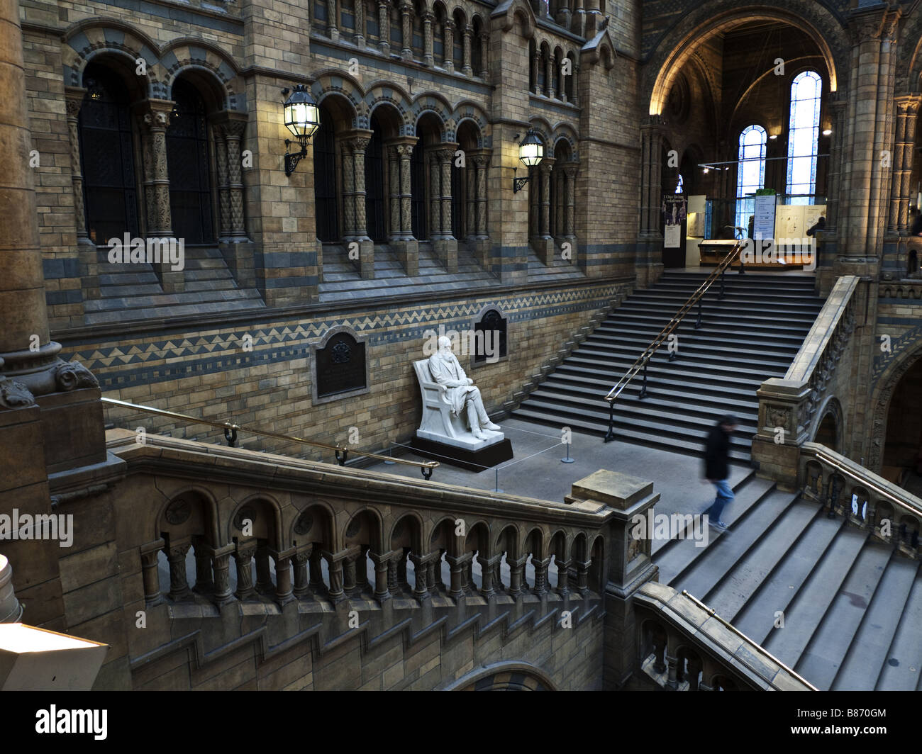 Charles Darwin Sculpture at the Natural History Museum, London Stock ...