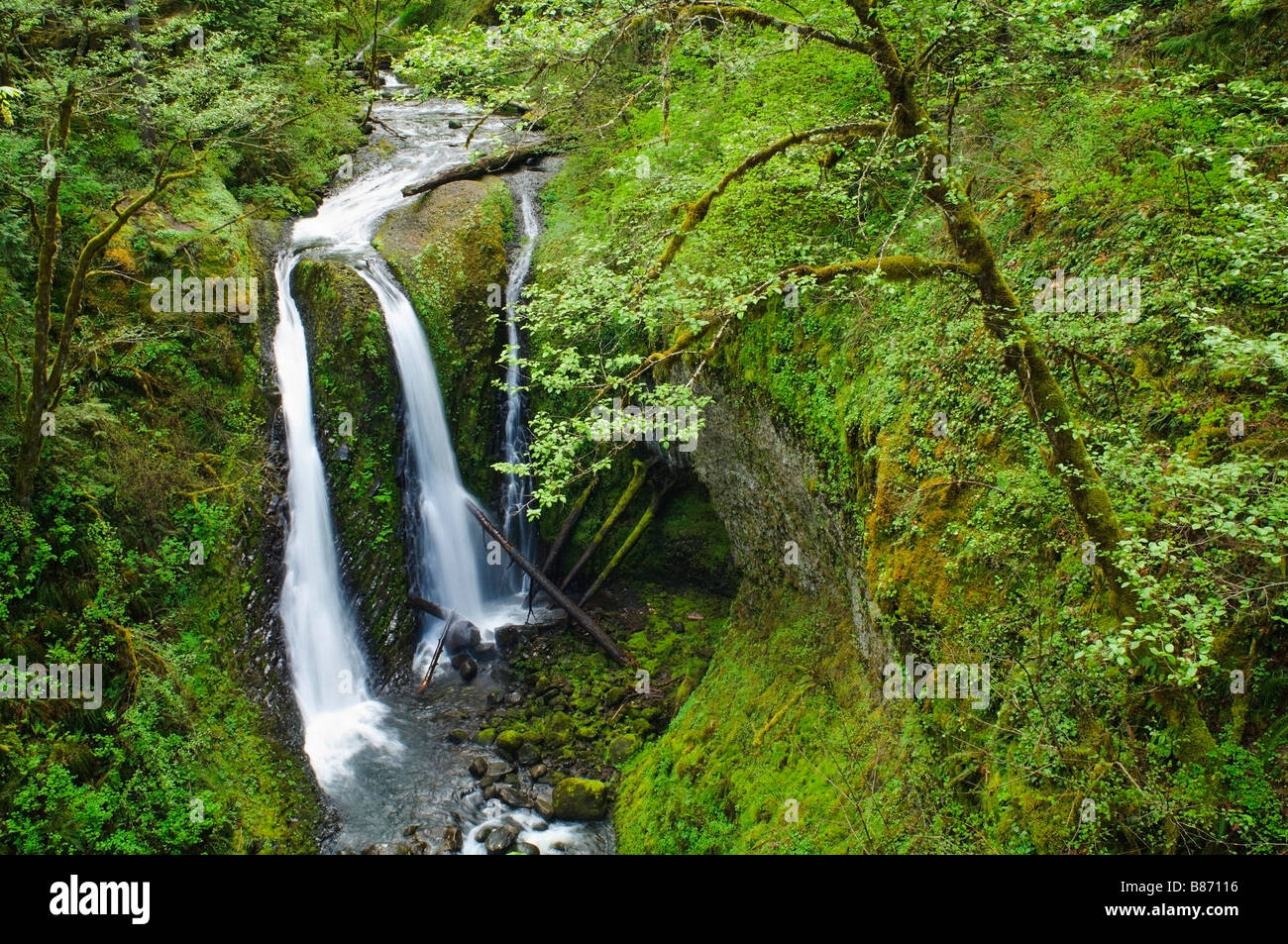 Triple Falls, Columbia River Gorge National Scenic Area, Oregon, USA ...