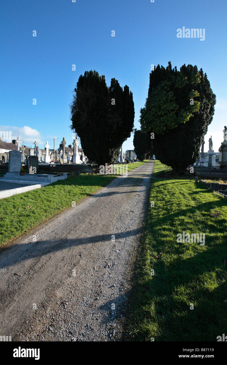 Saint Mary Church in Midleton Stock Photo - Alamy