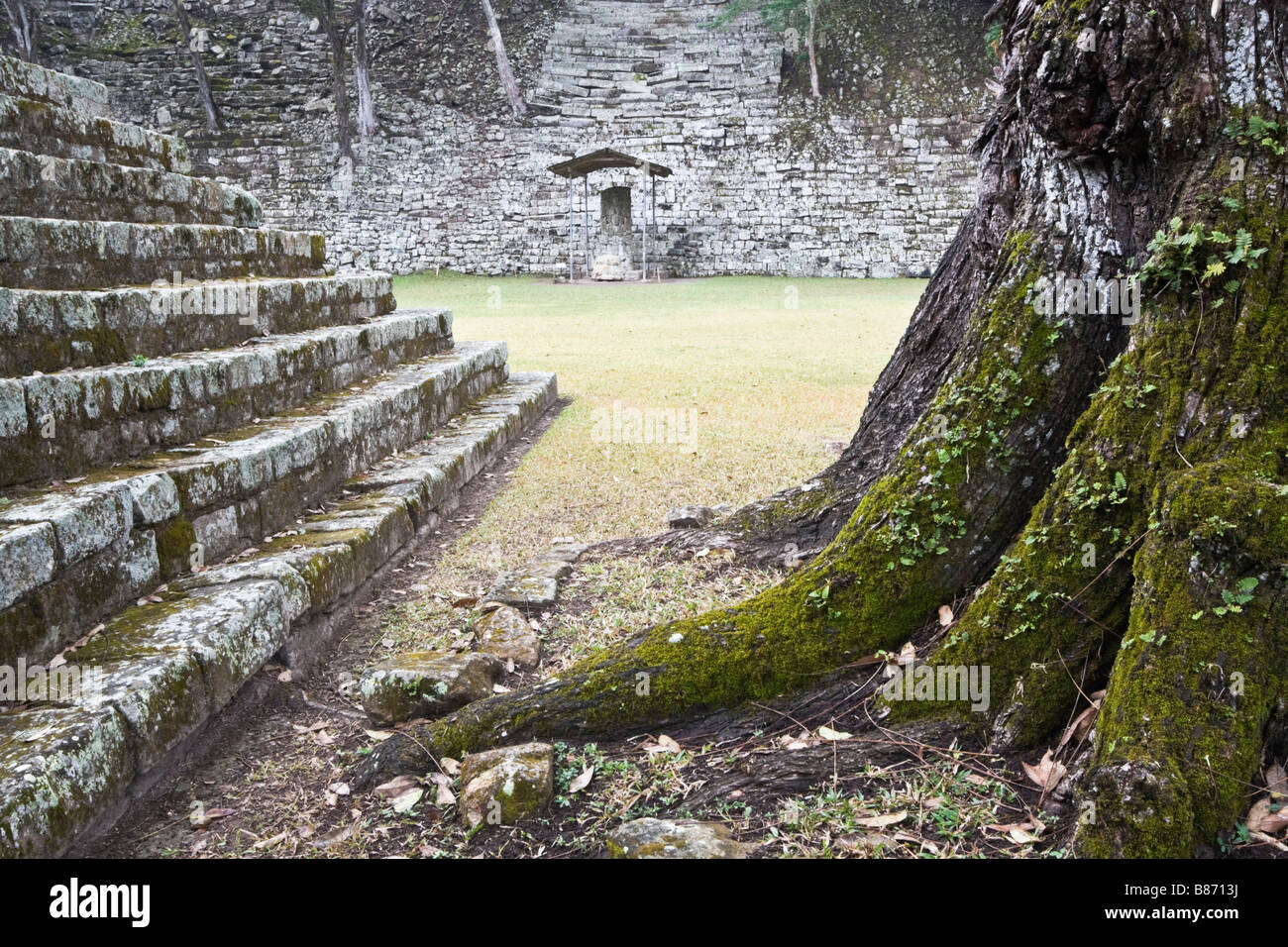 Copan ruins hi-res stock photography and images - Alamy