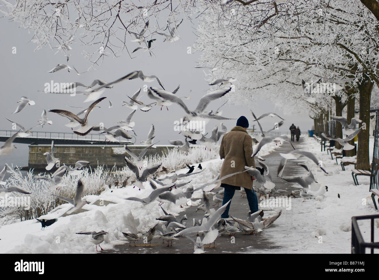 Man eating birds hi-res stock photography and images - Alamy