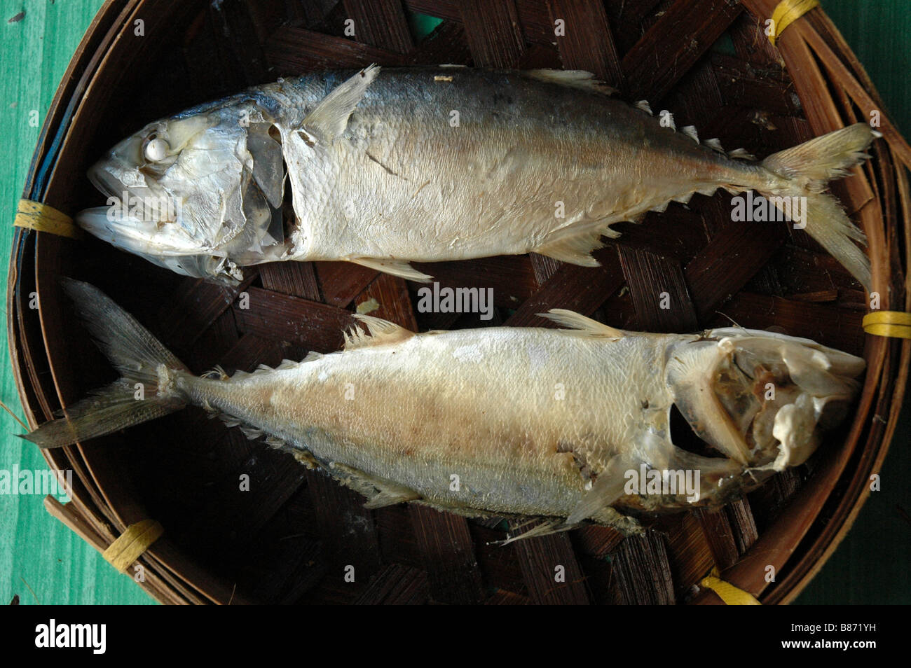 Fish steamer hi-res stock photography and images - Alamy