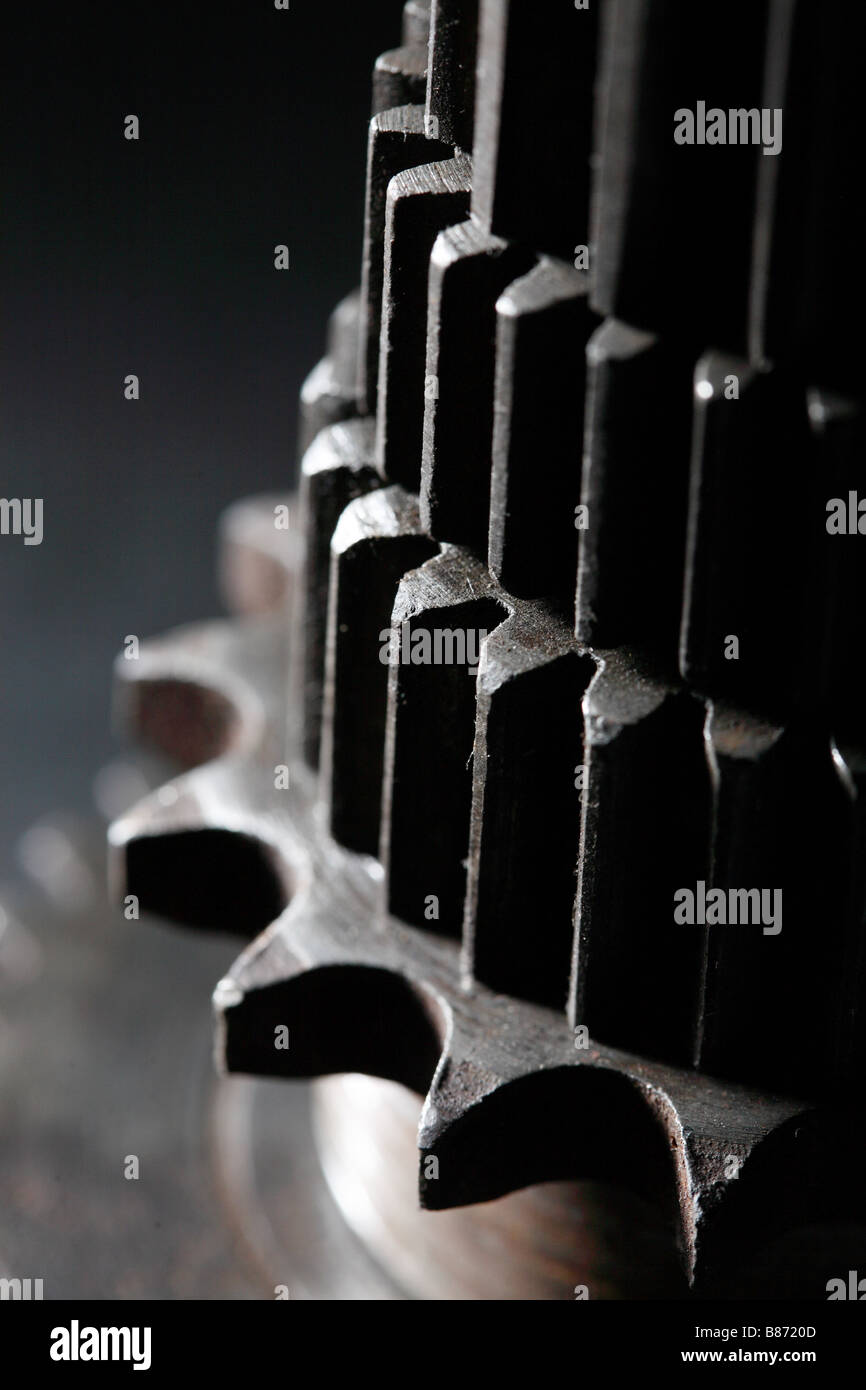 Partial shoot hi-res stock photography and images - Alamy