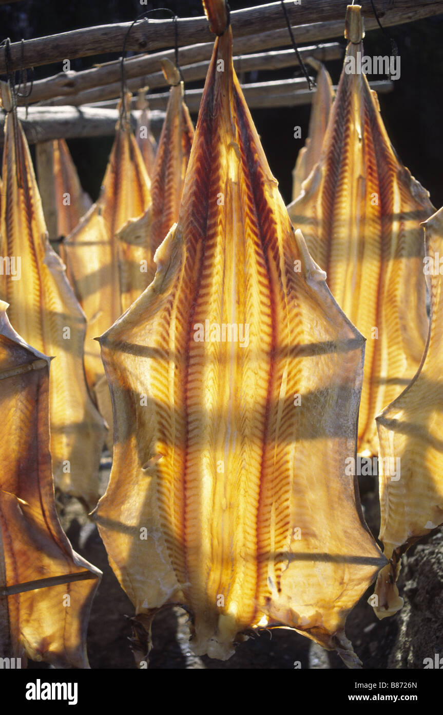 Fish Drying Camara de Lobos Madeira Stock Photo - Alamy